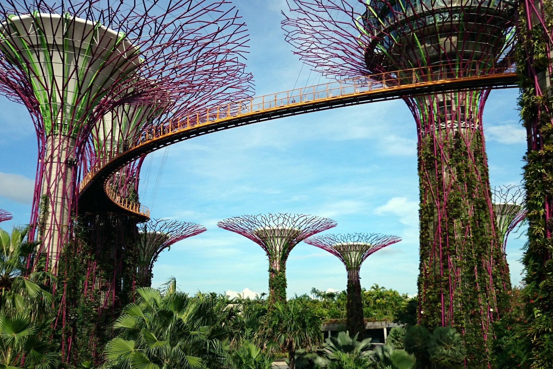 Safar Tours & Travels